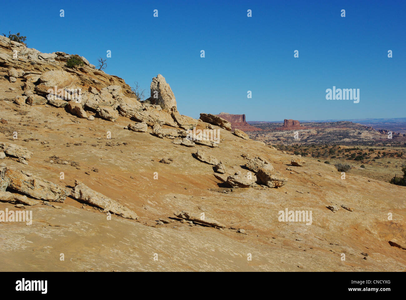 Vast range hi-res stock photography and images - Alamy