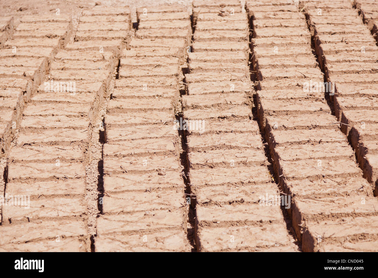 Clay bricks handmade Stock Photo - Alamy