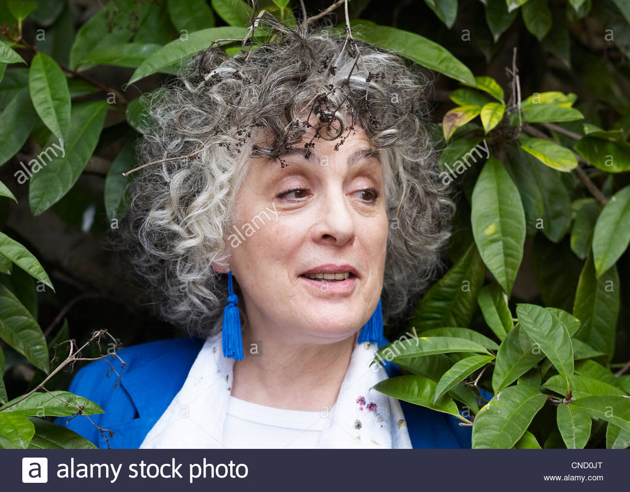 Eleanor Bron High Resolution Stock Photography and Images - Alamy
