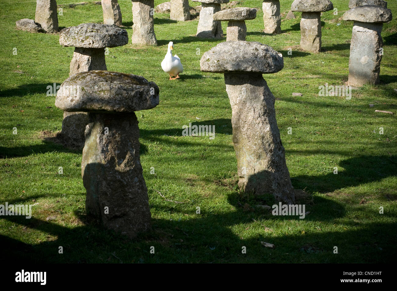 granite mushrooms to hold haystack Stock Photo - Alamy