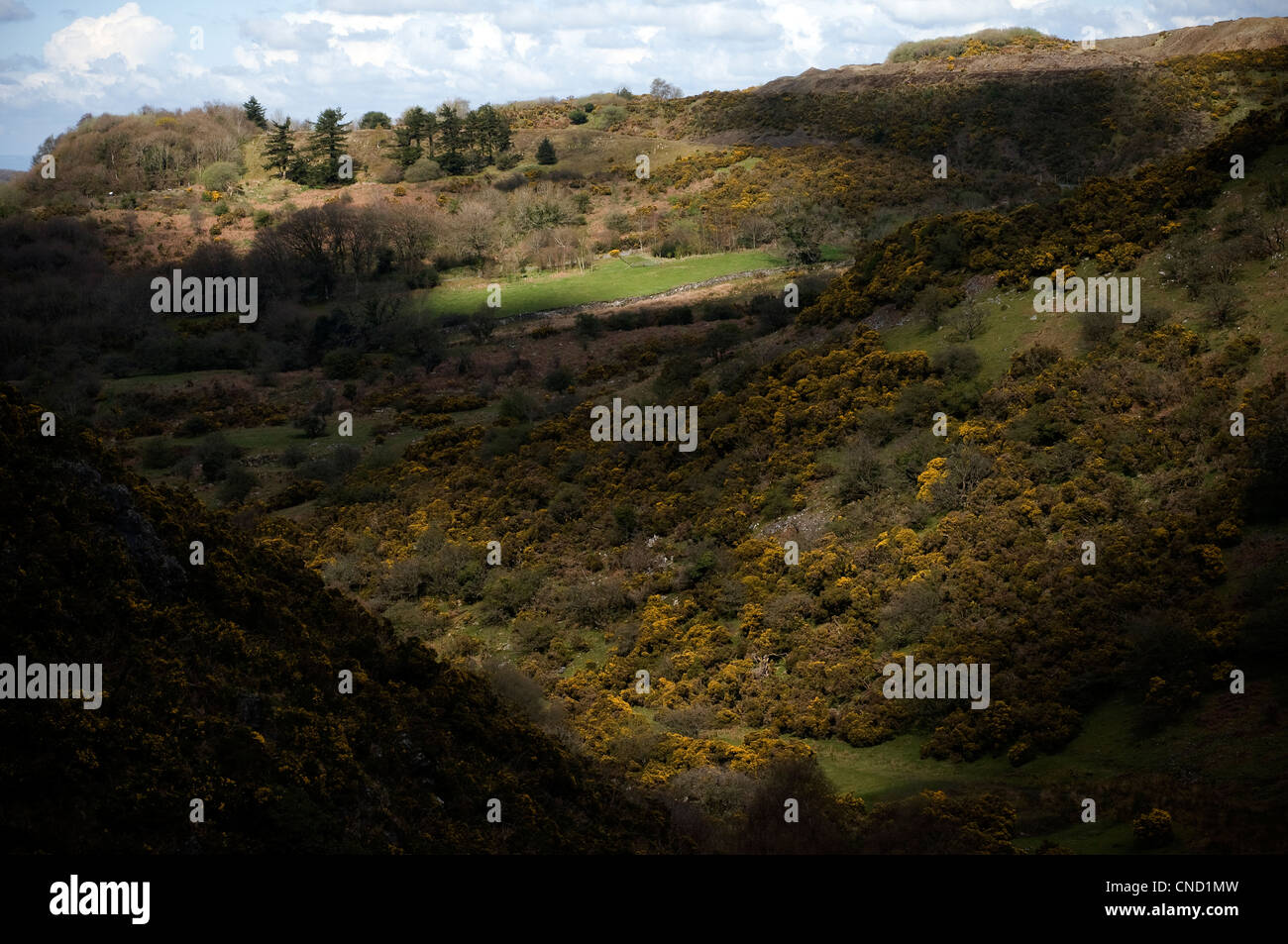 View from meldon reservoir hi-res stock photography and images - Alamy