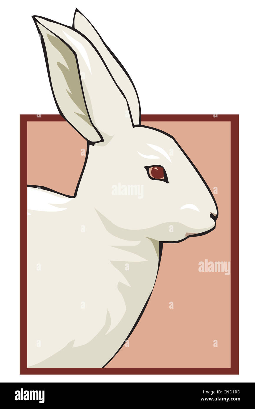 rabbit for shop Stock Photo - Alamy