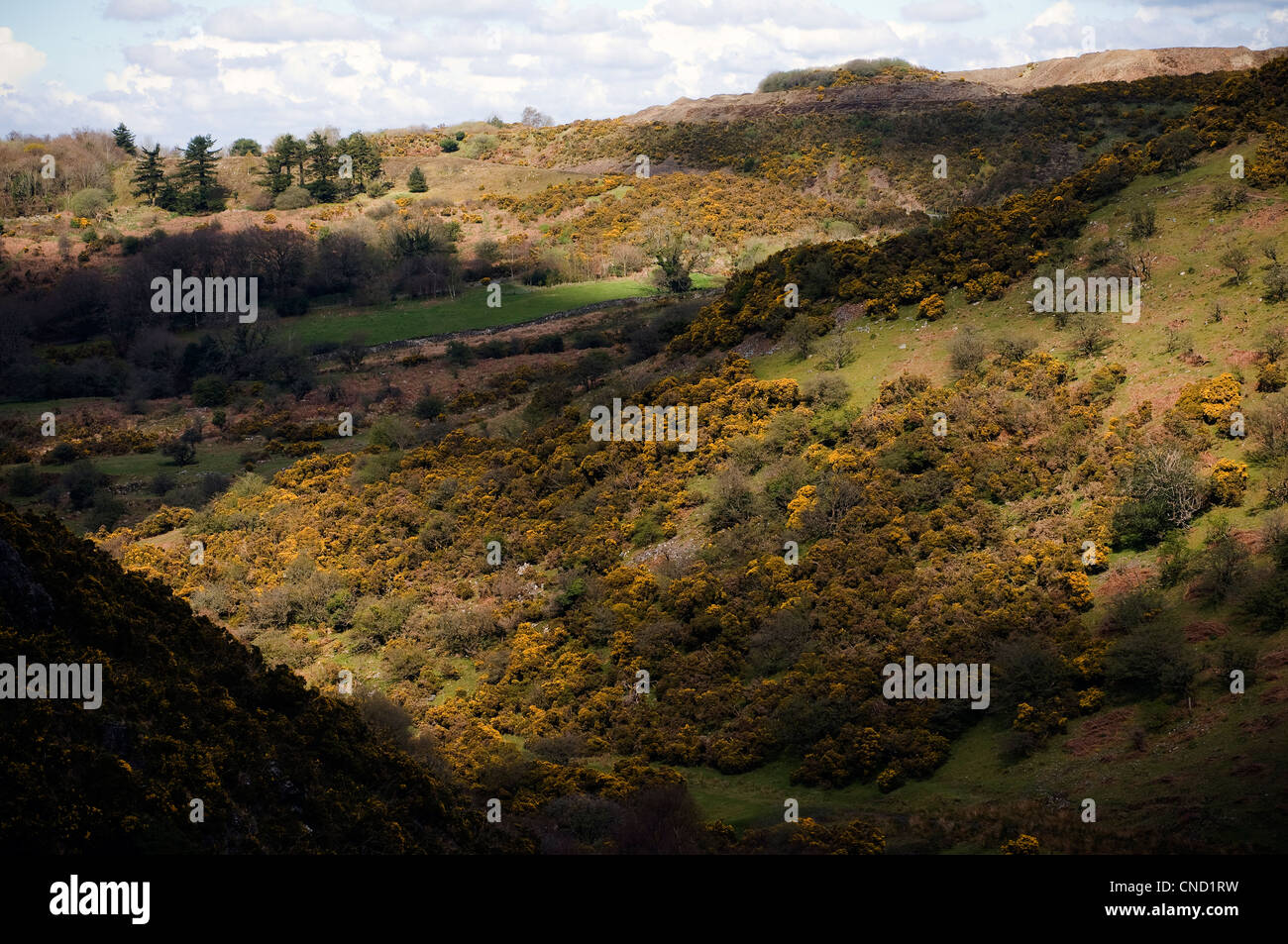 View from meldon reservoir hi-res stock photography and images - Alamy