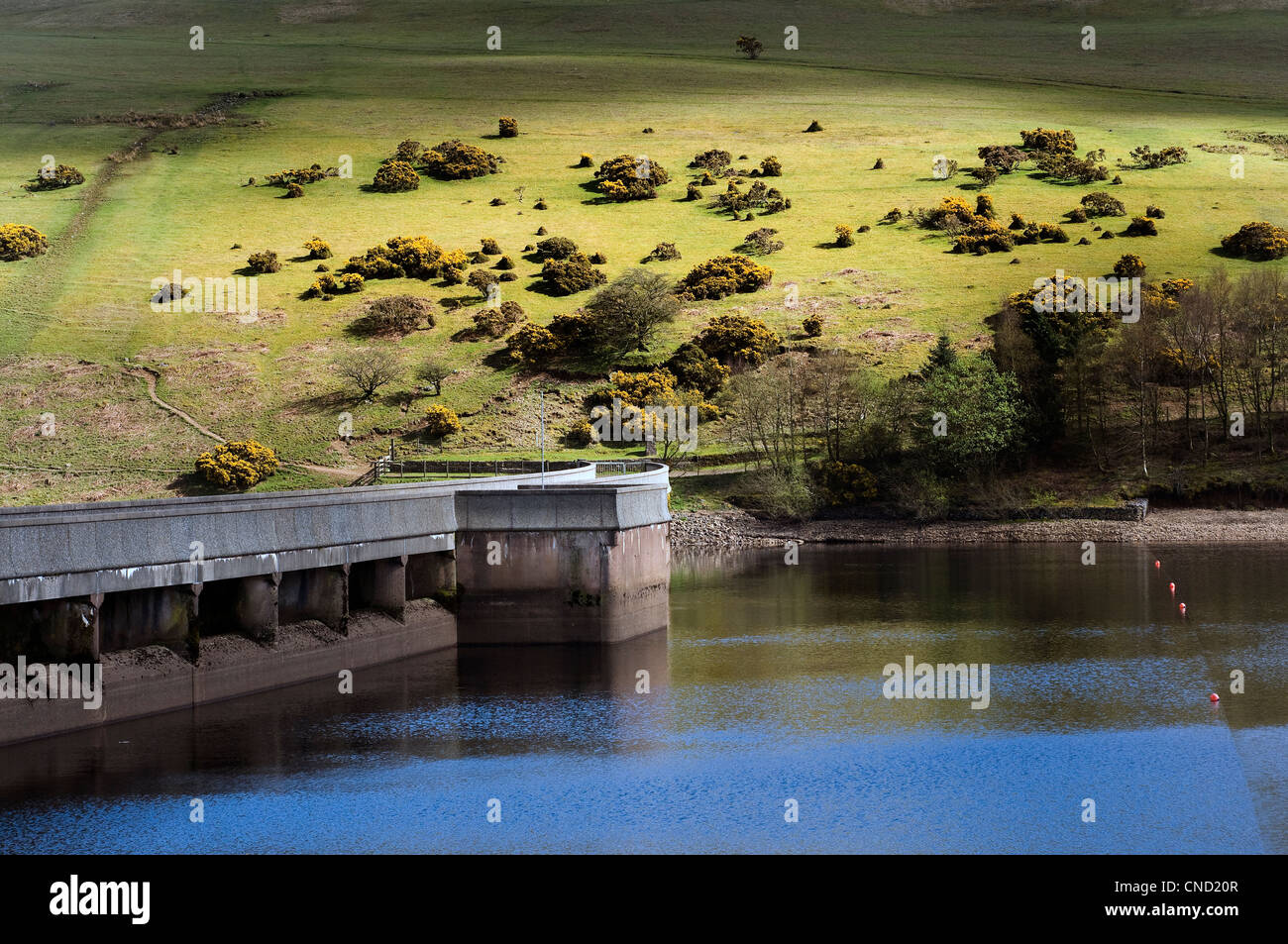 Meldon Reservoir, near Okehampton, Devon Stock Photo - Alamy