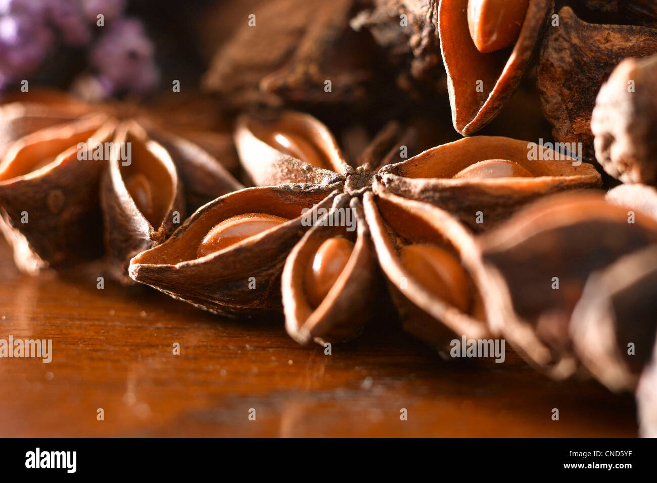 Seed pod star hi-res stock photography and images - Alamy