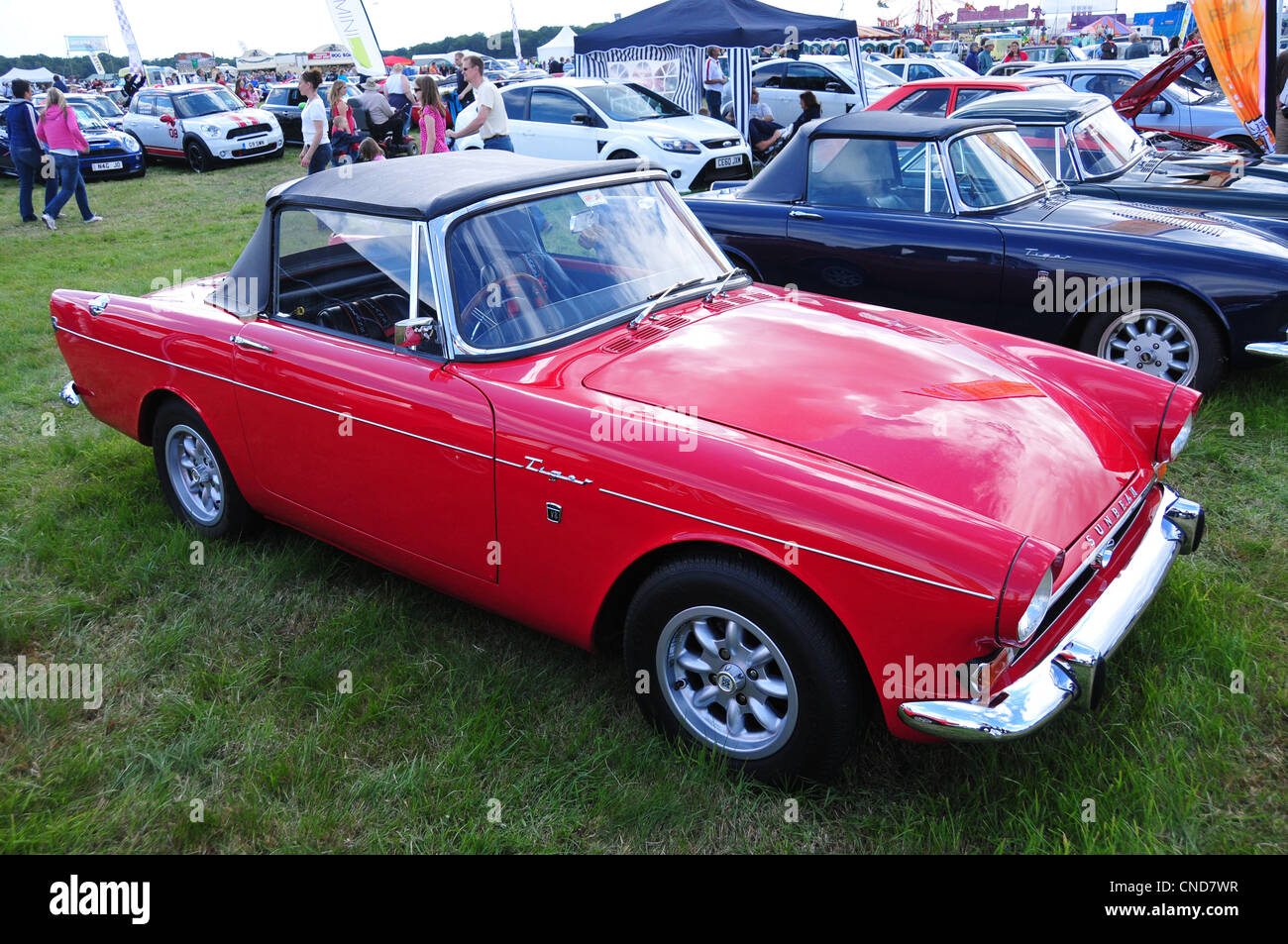 Sunbeam tiger hi-res stock photography and images - Alamy