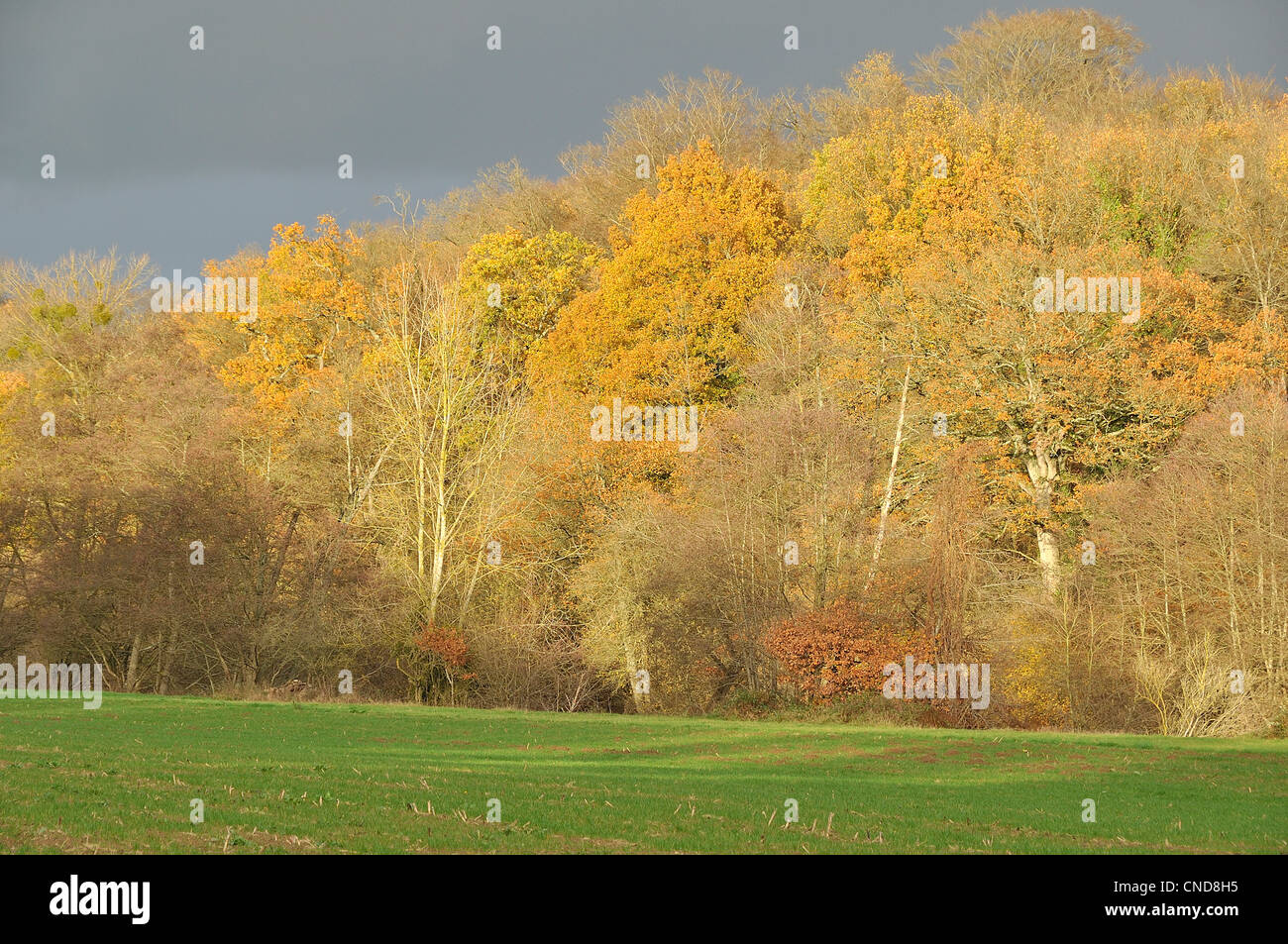 Mayenne france valley hi-res stock photography and images - Alamy