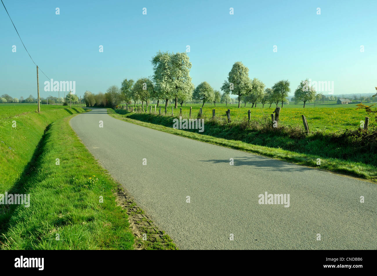 Normandy countryside hi-res stock photography and images - Alamy