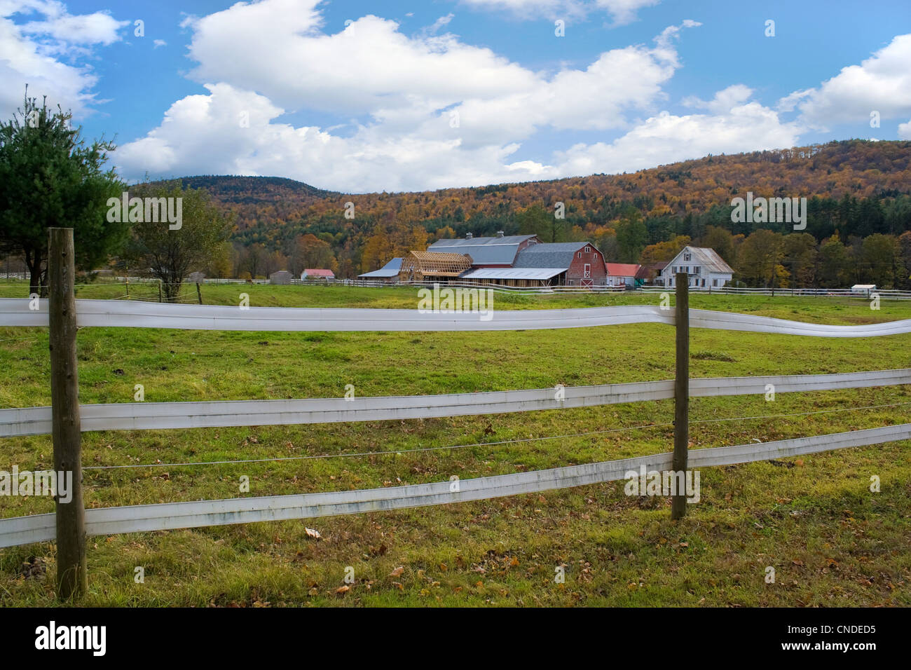 A barn raising in progress. The new addition to the barn is being ...