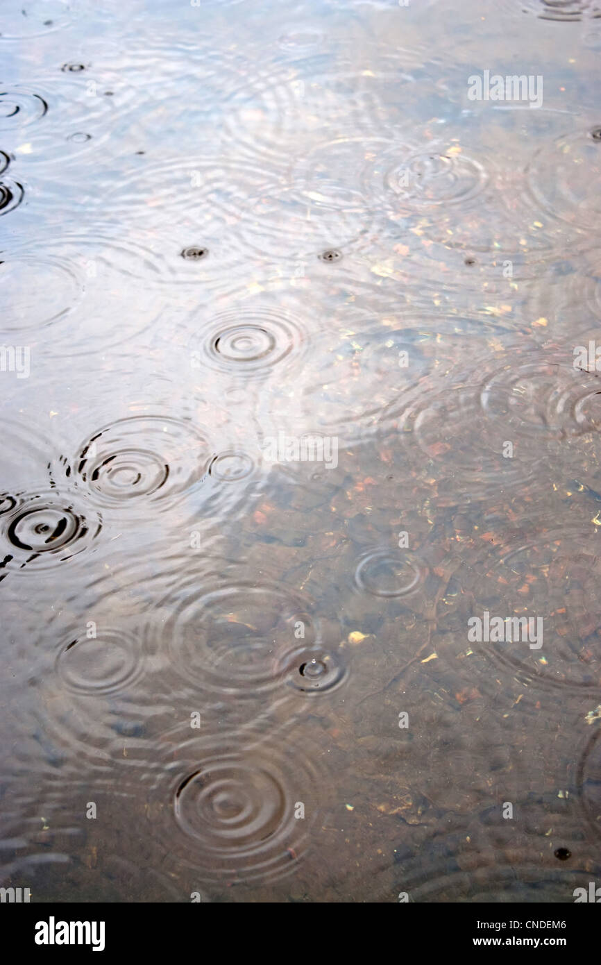 Raindrops Falling From The Sky