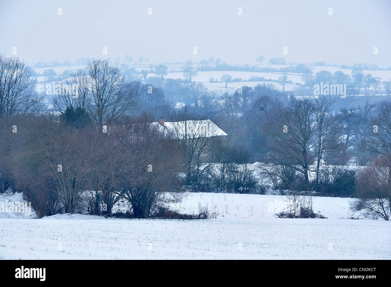 Bocage with hedges trees hi-res stock photography and images - Alamy