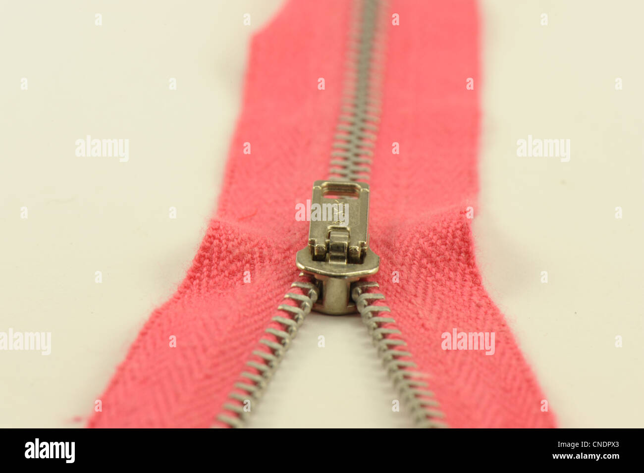 zip zipper red showing toggle taken on a white background sewing ...