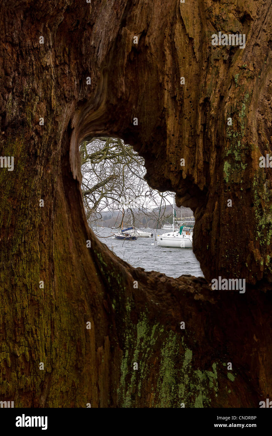 lake through hole in tree Stock Photo - Alamy