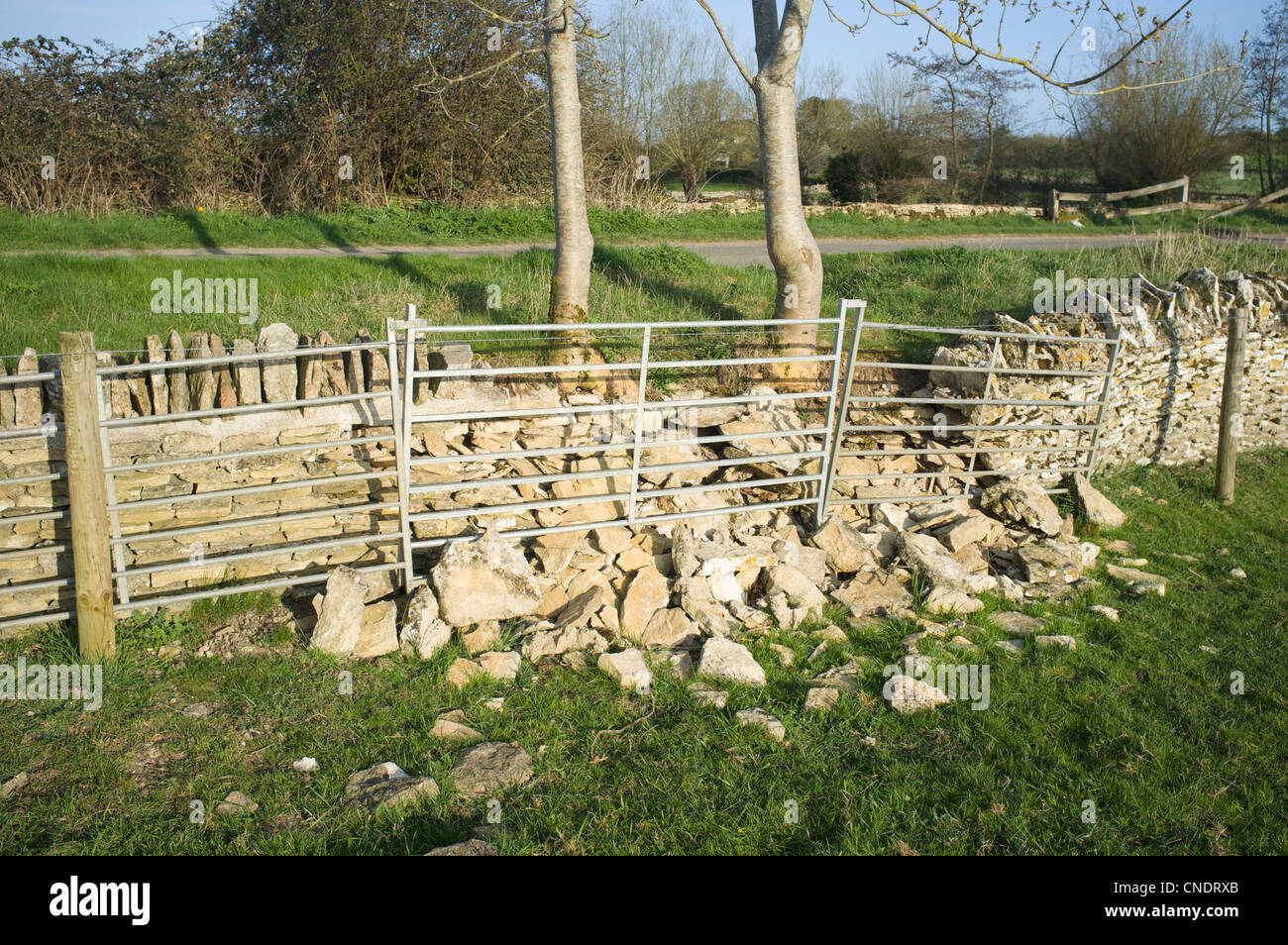 Collapsed dry stone wall in Cotswolds England Stock Photo - Alamy