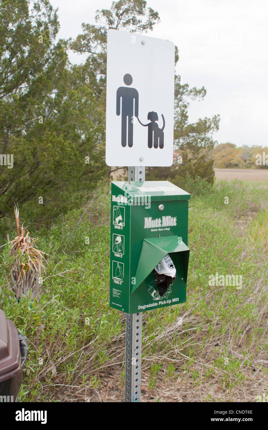 Dog litter hi-res stock photography and images - Alamy