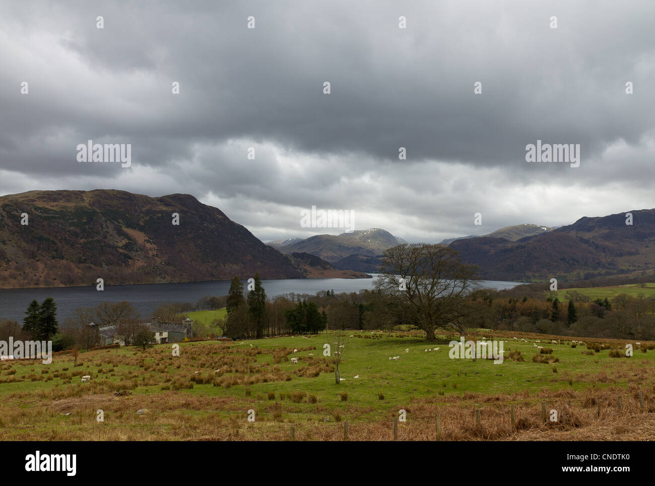Ullswater in the spring, Lake District, Cumbria, UK Stock Photo - Alamy