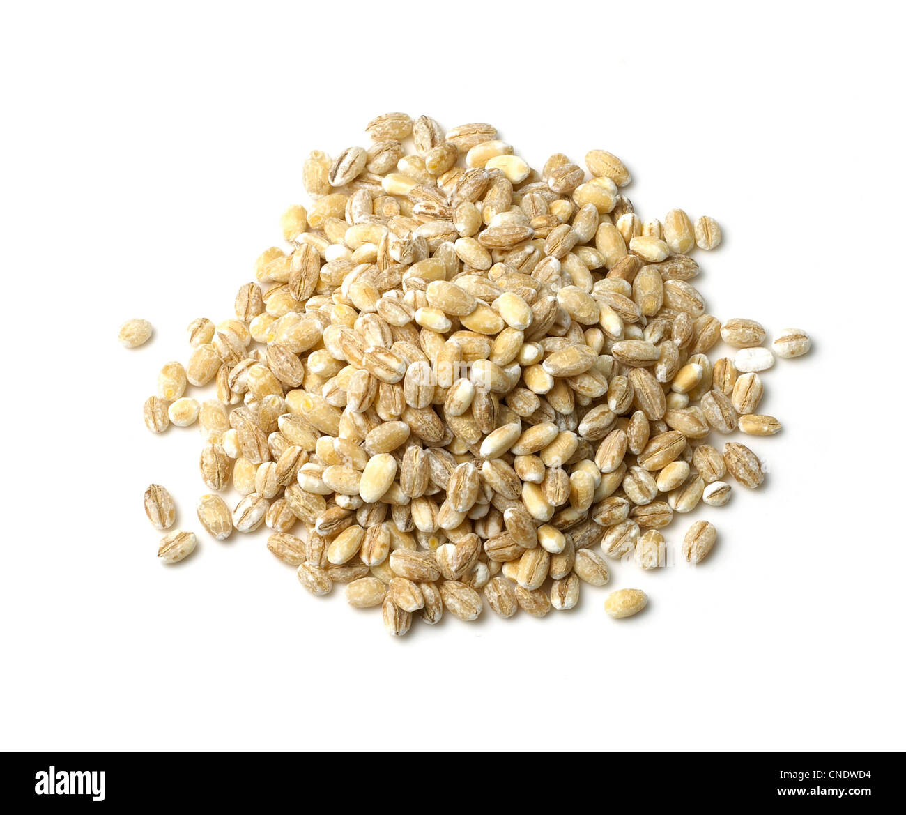 Group of Barley grain Stock Photo - Alamy