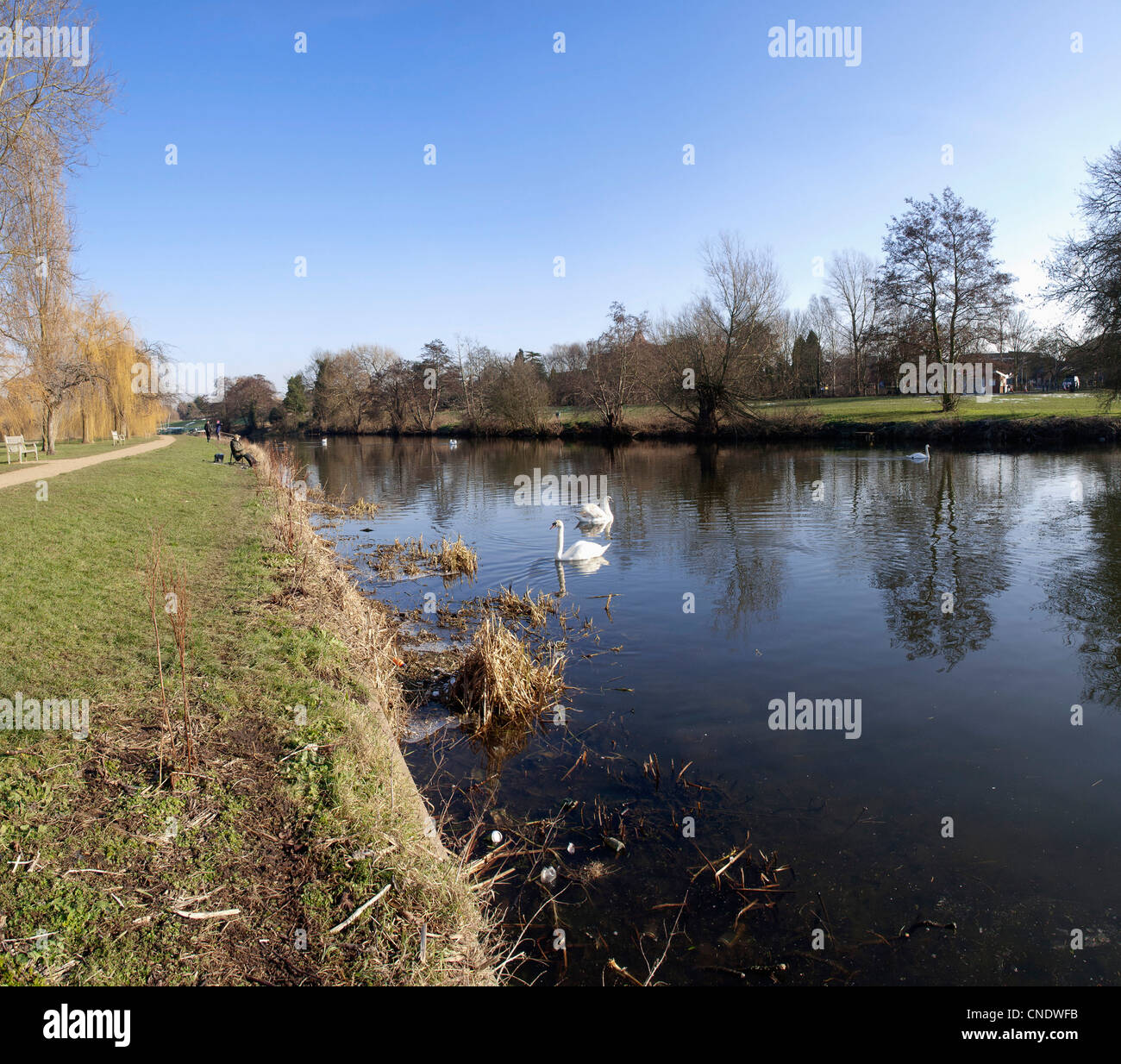 river avon warwick warwickshire Stock Photo - Alamy