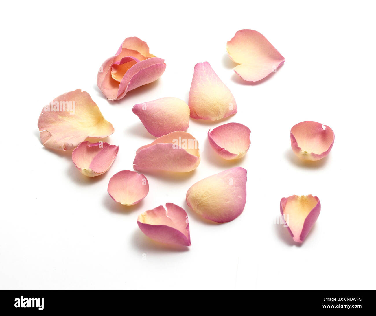 Confetti hi-res stock photography and images - Alamy