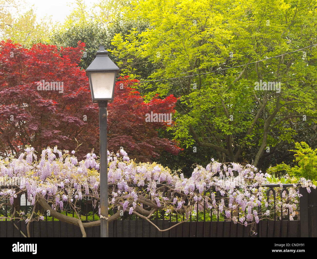 Historic Old Town Alexandria Stock Photo - Alamy
