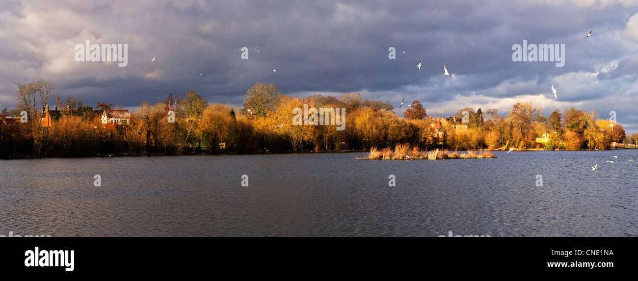 Sywell lake hi-res stock photography and images - Alamy