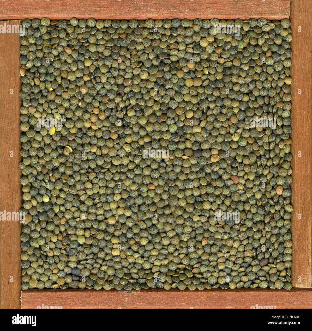 French green lentils background in a primitive, wooden frame or box ...