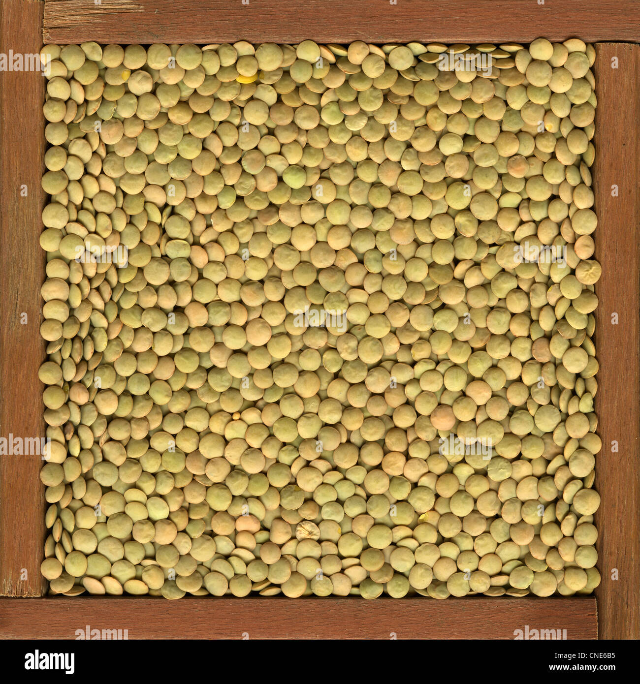 green lentils background in a primitive, wooden frame or box Stock ...