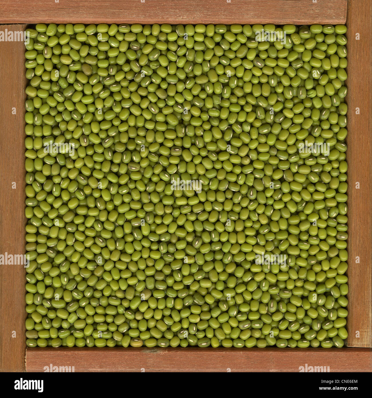 mung beans background in a primitive, wooden frame or box Stock Photo ...