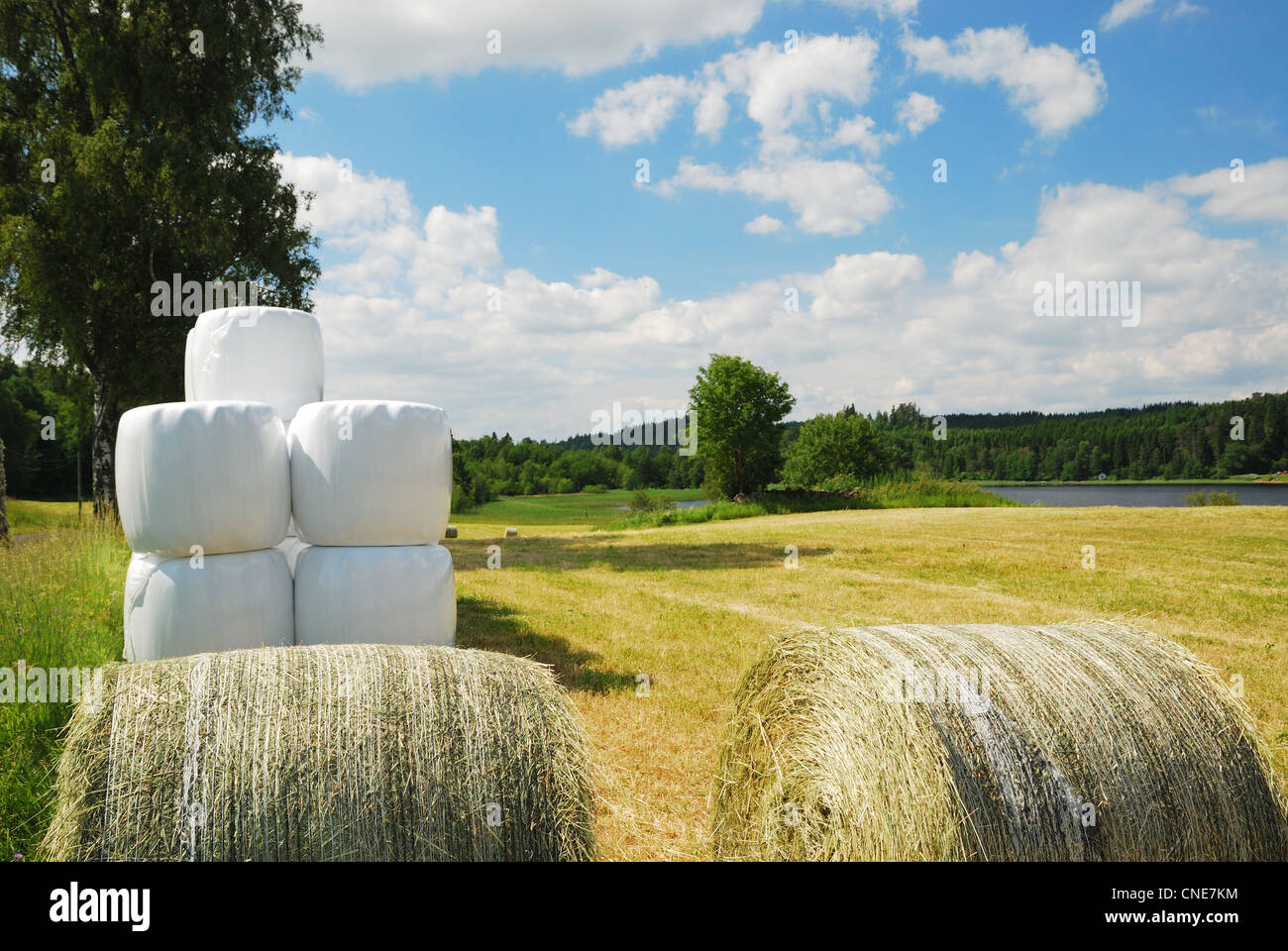 Parceled crop field hi-res stock photography and images - Alamy