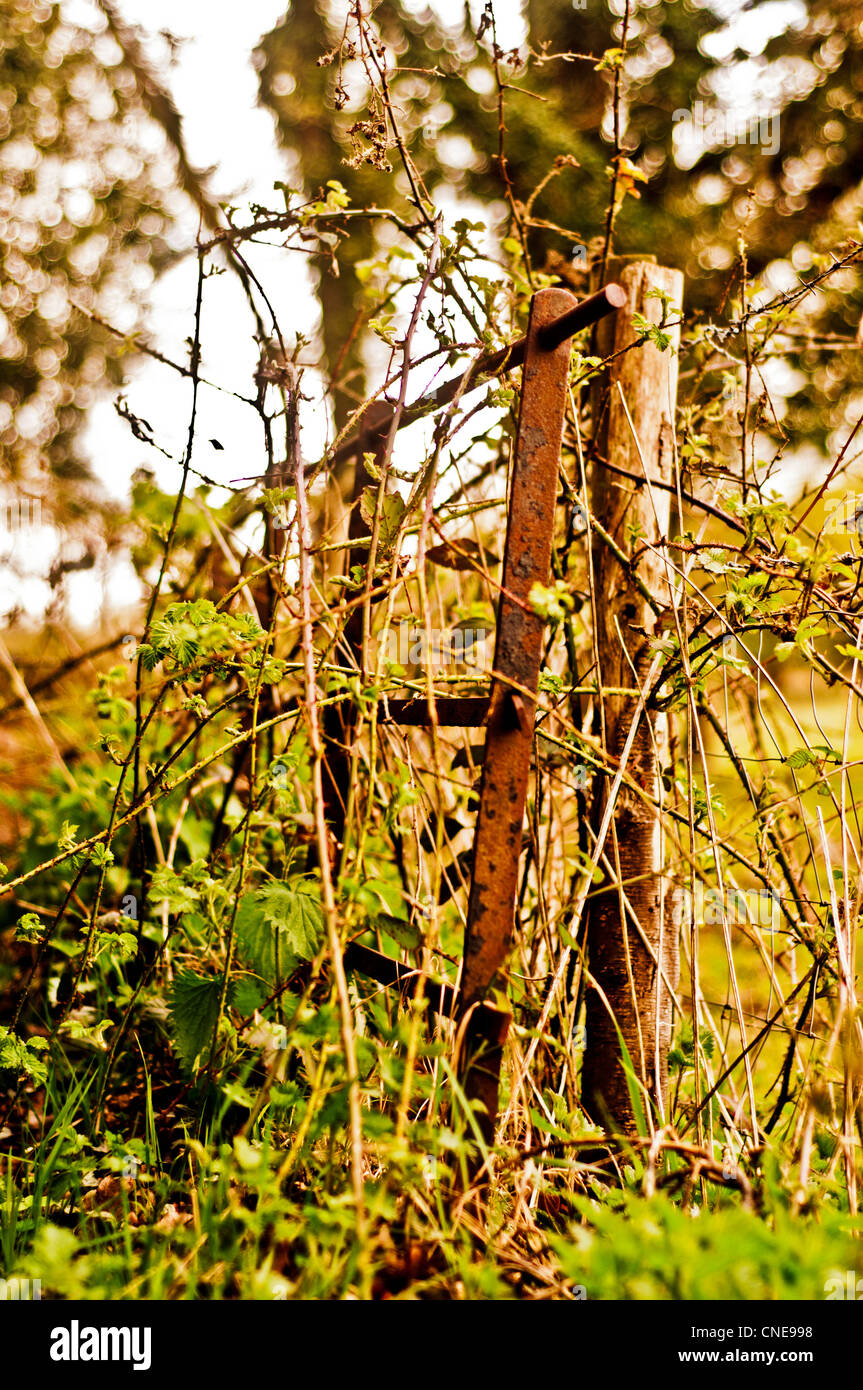Overgrown Rusty Fence Stock Photo - Alamy