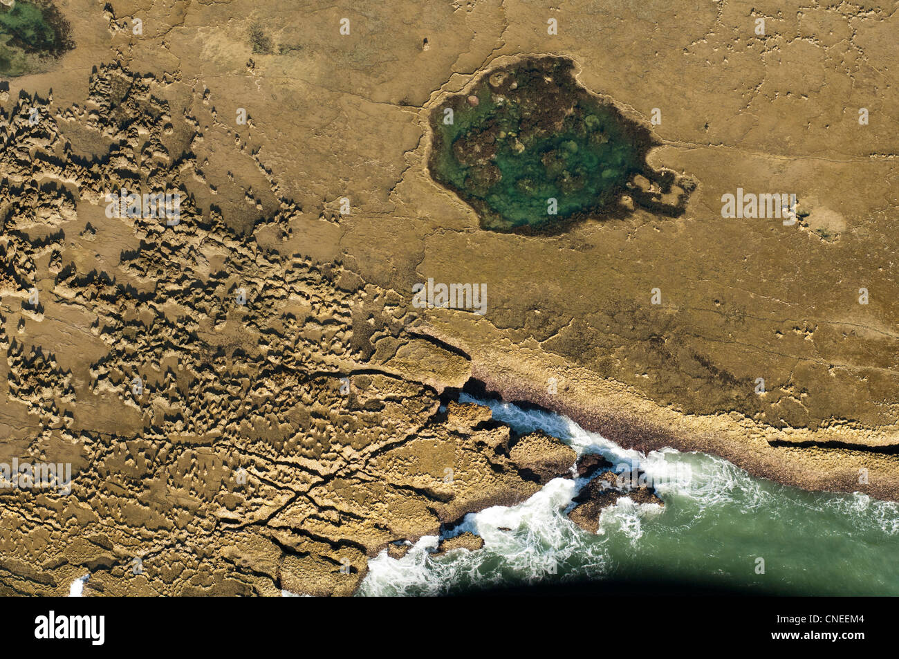 Gezeiten pool felsen hi-res stock photography and images - Alamy