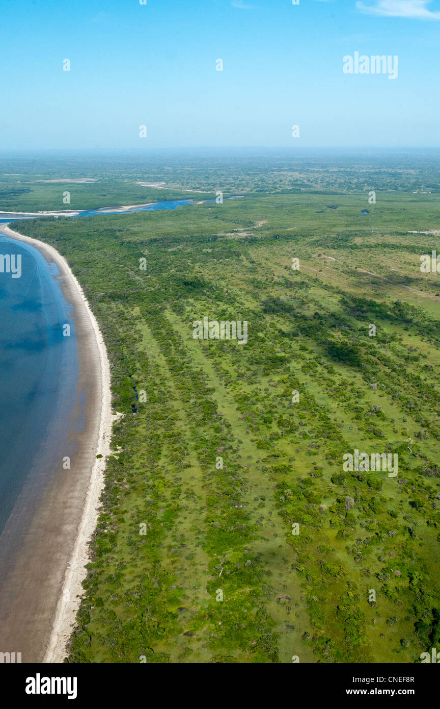 Aerial view of the coast line in Pwani Region, Tanzania Stock Photo - Alamy