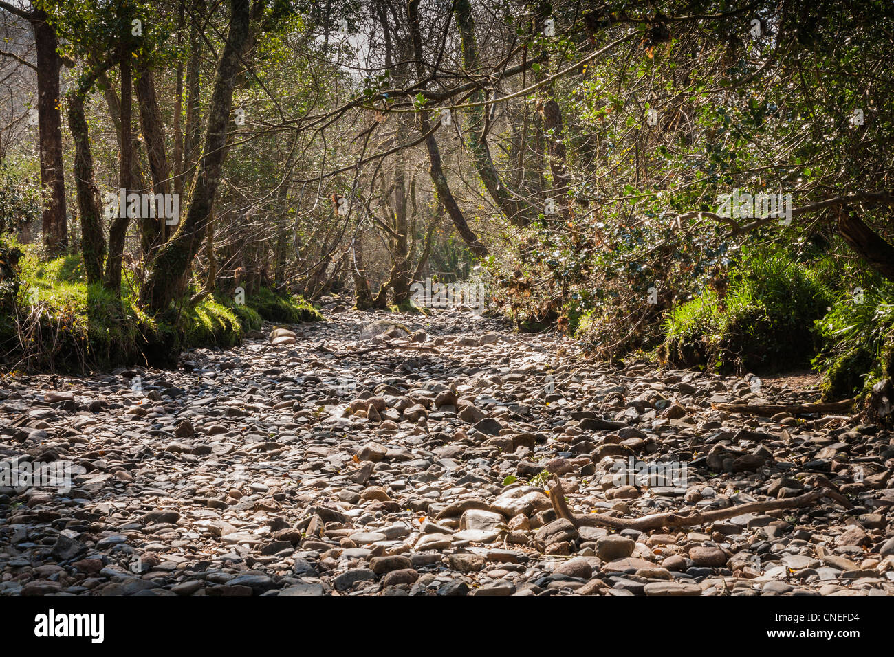 Dried Up River Bed Drought High Resolution Stock Photography and Images ...
