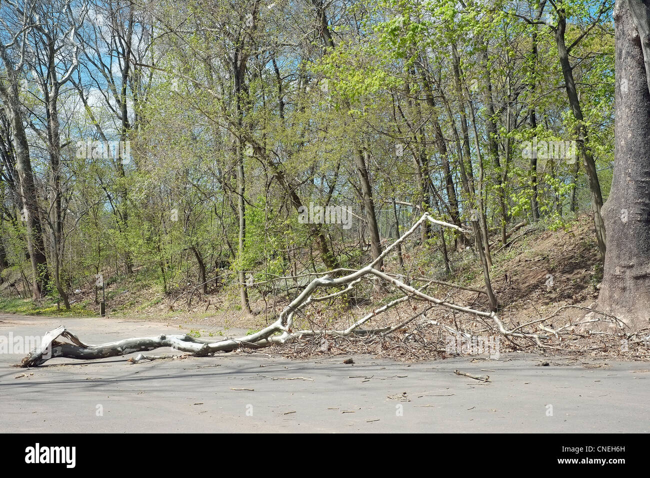 Laying across hi-res stock photography and images - Alamy