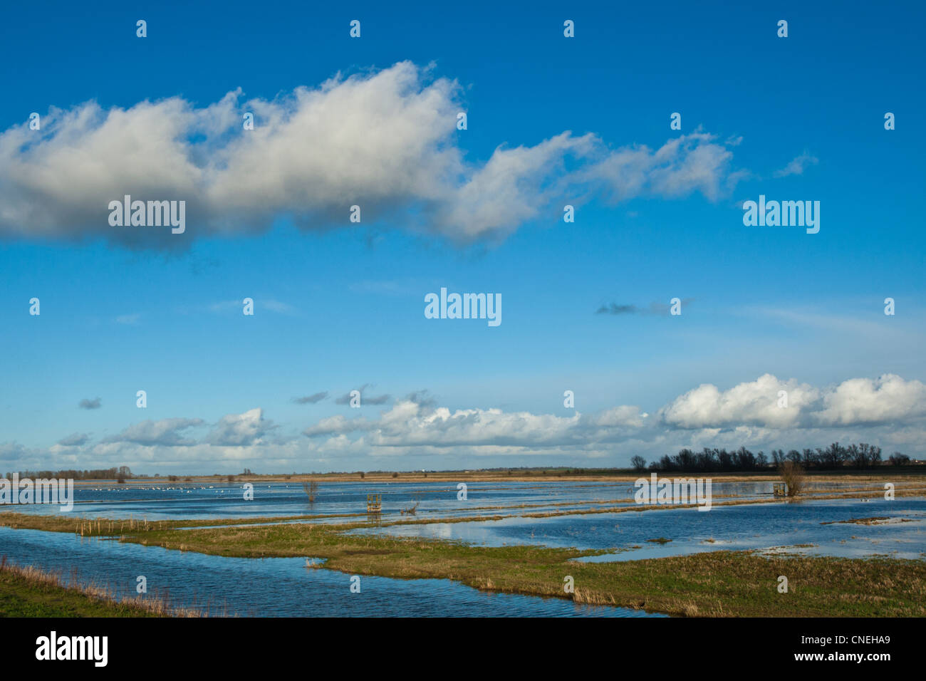 Ouse washes cambridgeshire hi-res stock photography and images - Alamy