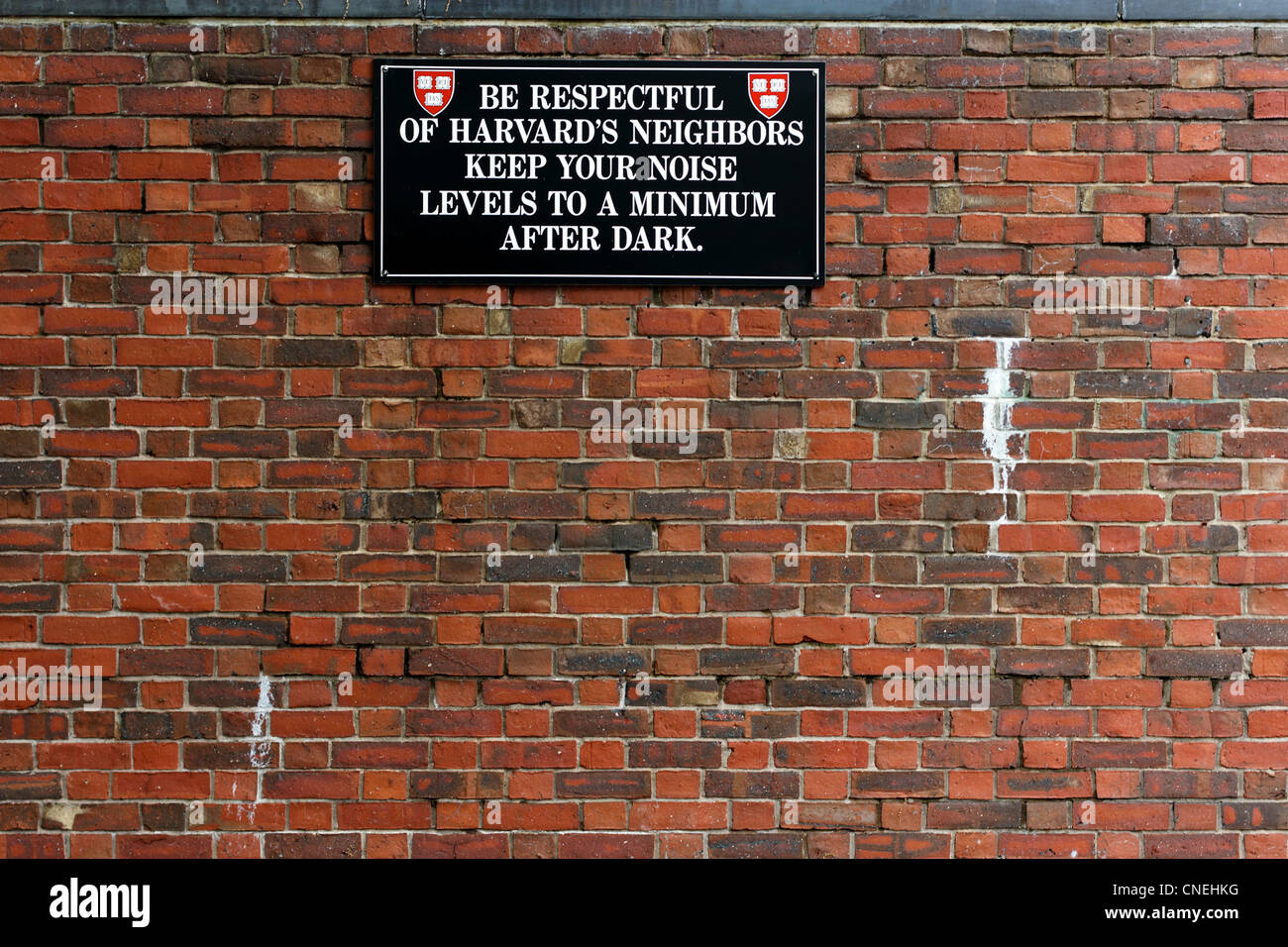 Radcliffe quadrangle harvard hi-res stock photography and images - Alamy