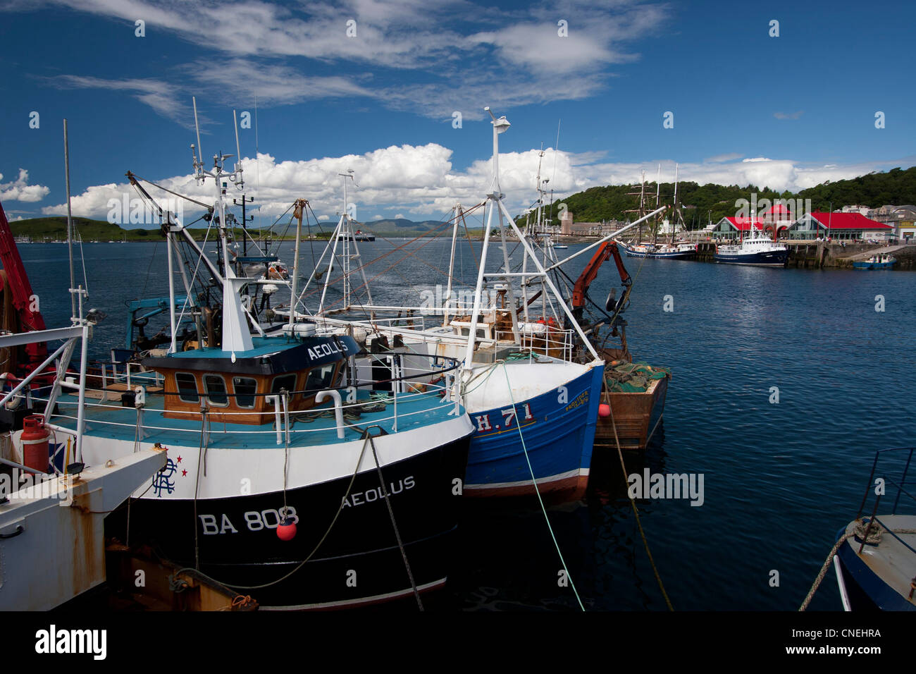 Oban , Scotland - fishing quay Stock Photo - Alamy
