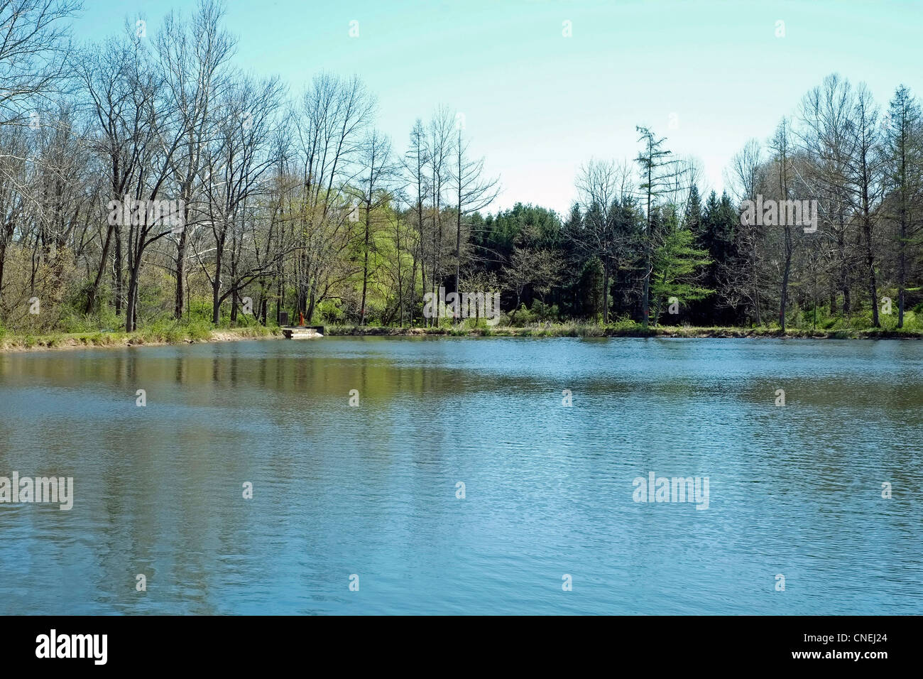Camp pond hi-res stock photography and images - Alamy