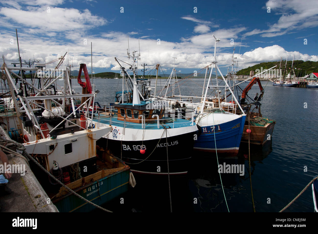 Oban , Scotland - fishing quay Stock Photo - Alamy