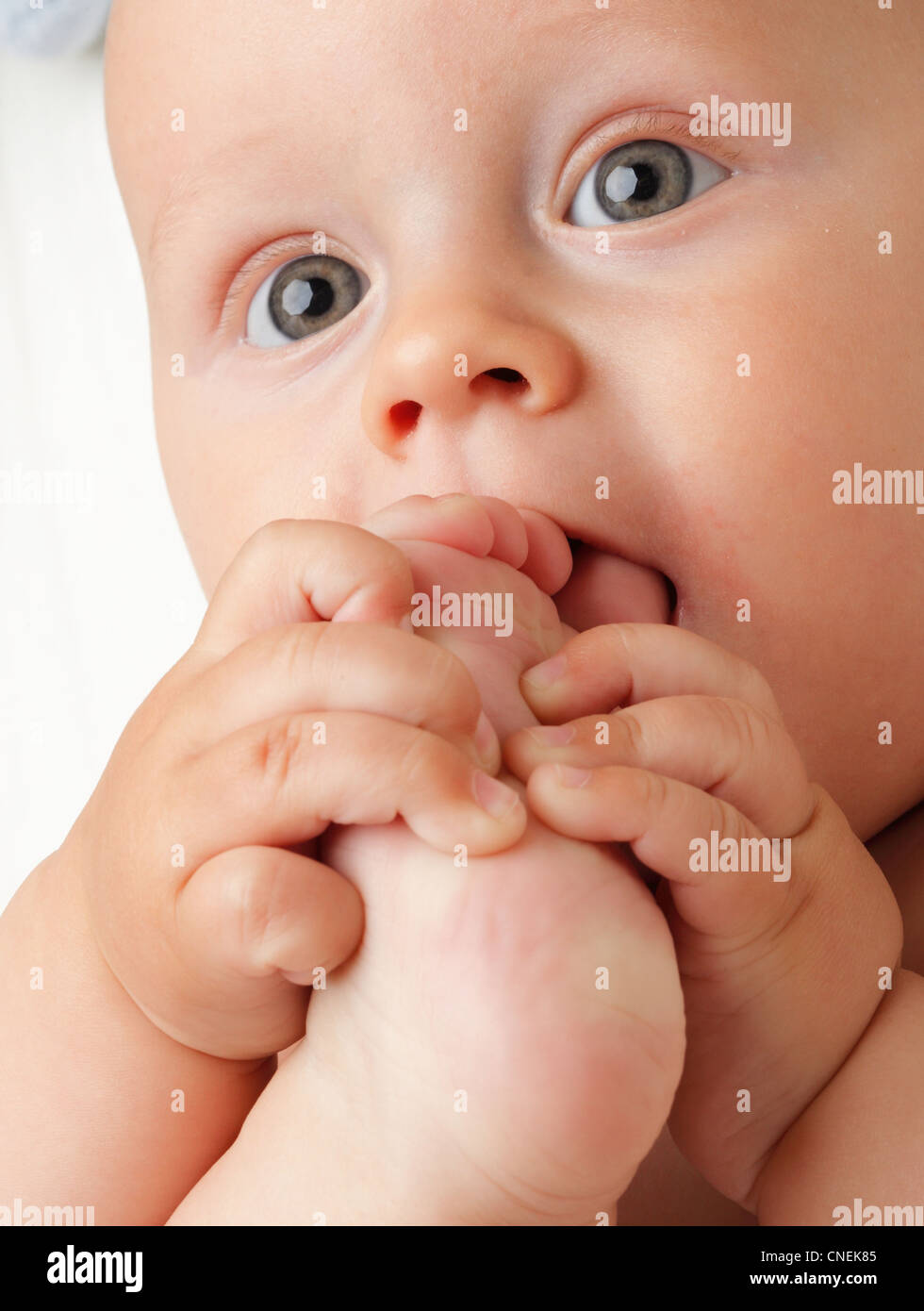 portrait of 6 months male child baby boy in blue eye Stock Photo - Alamy