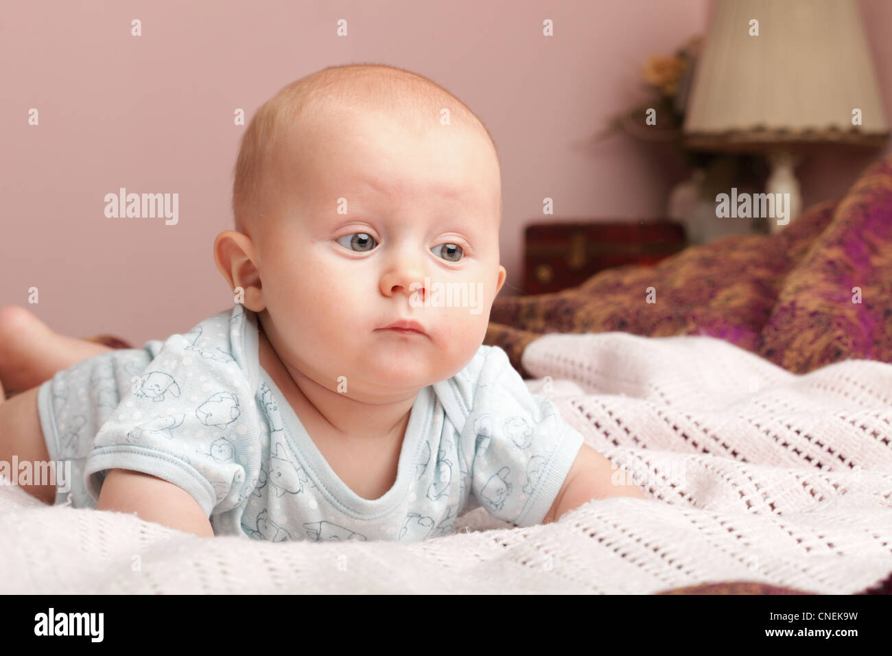 portrait of 6 months male child baby boy in blue eye Stock Photo - Alamy