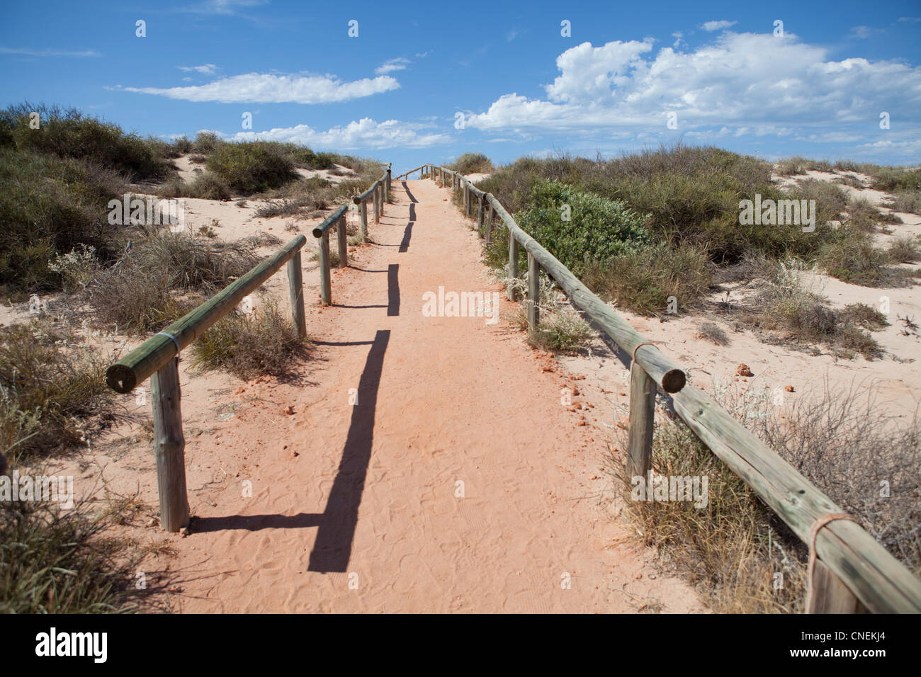 A typical Australian path leading to the beach in Western Australia ...