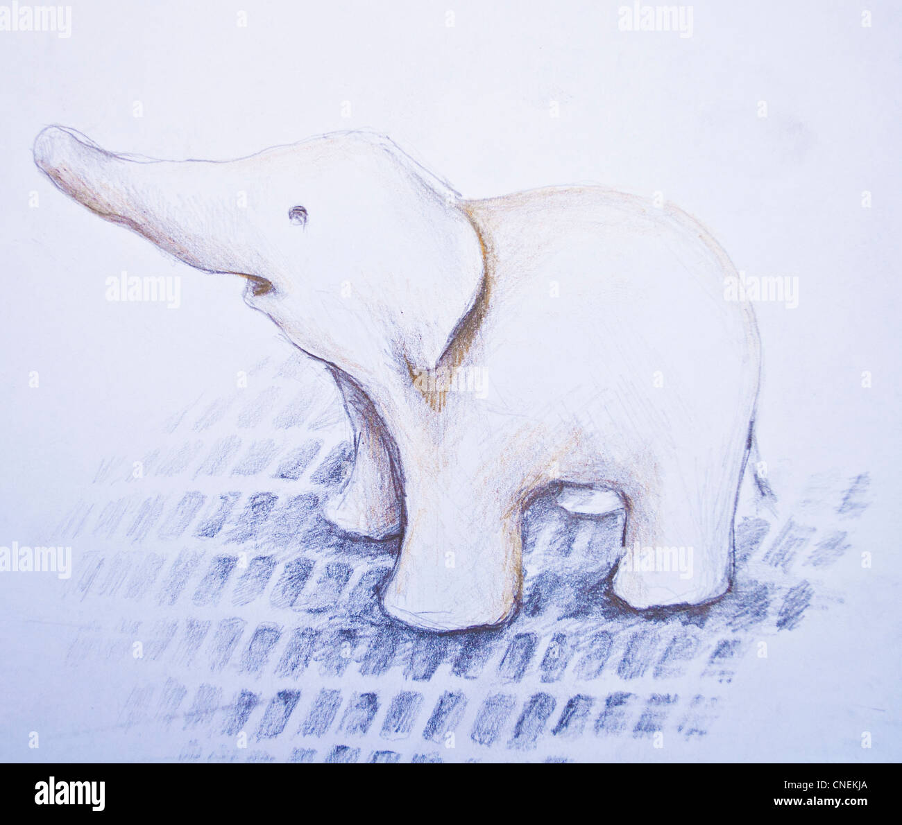 Drawing on an small cute baby elephant Stock Photo - Alamy