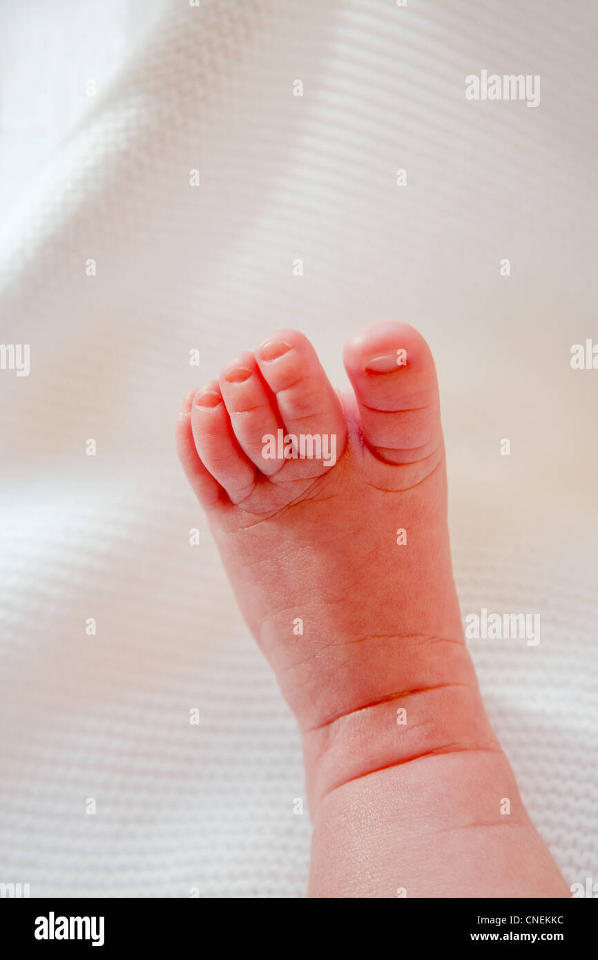 Four toes each foot hi-res stock photography and images - Alamy