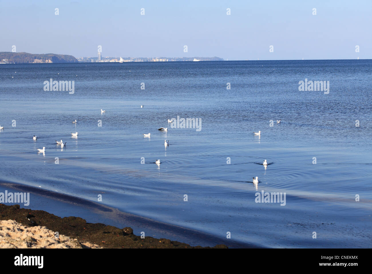 Landscape and wildlife outdoor hi-res stock photography and images - Alamy