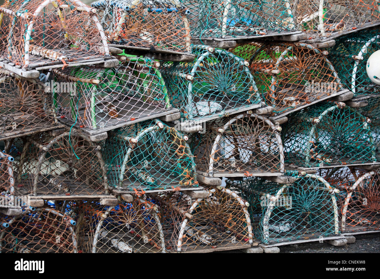 Scotland - Lobster pots in fishing harbour in Scotland Stock Photo - Alamy