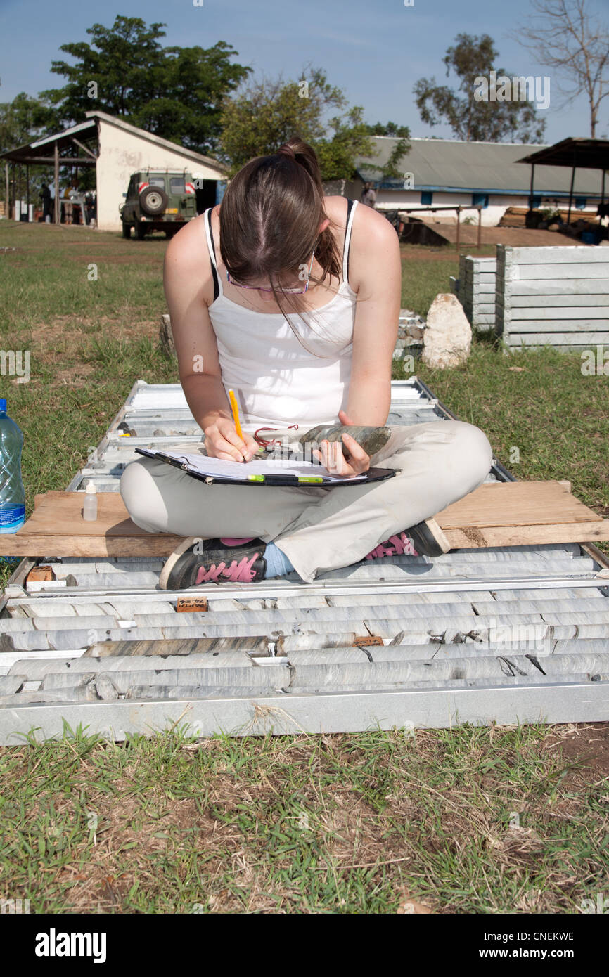 Female geologist inspecting and logging NQ diamond drill core for gold ...