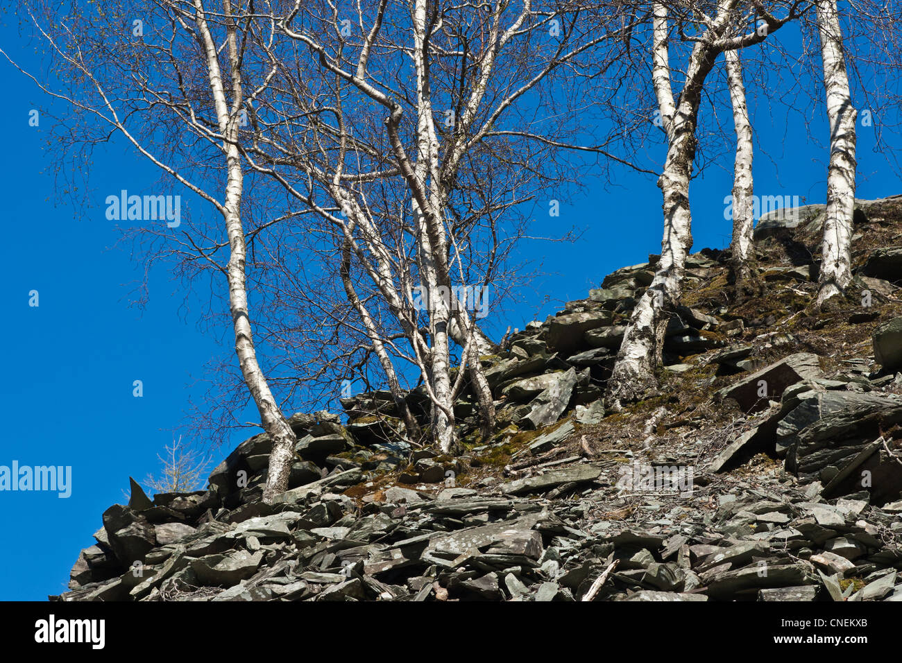 Spoil heap hi-res stock photography and images - Alamy