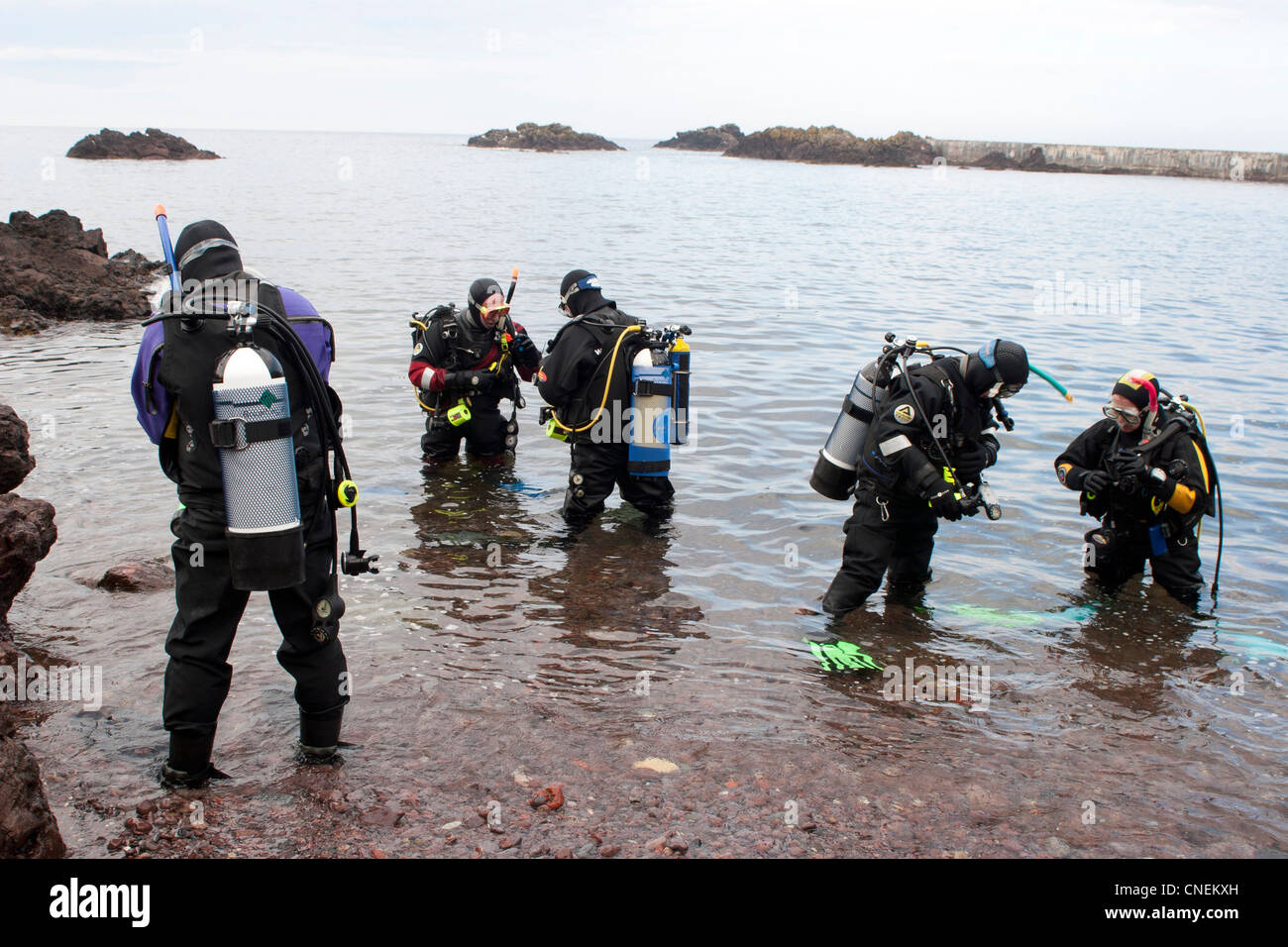 Scuba diving off the east coast of scotland hi-res stock photography ...