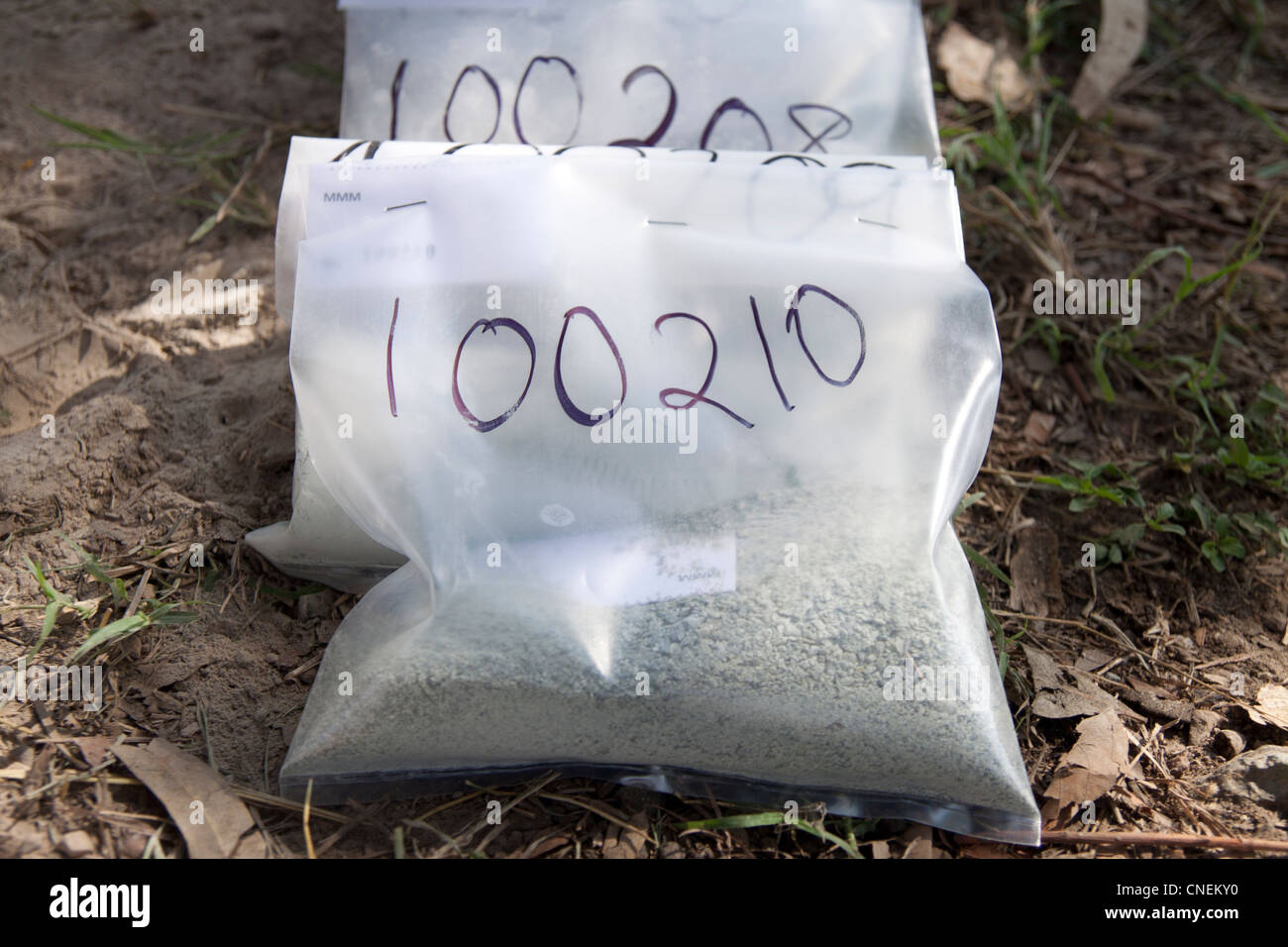 RC drill chips that have been sampled and are ready for submission ...